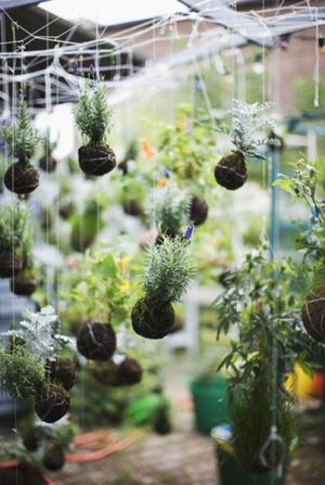 String Garden Decorations, Vertical Gardens and Backyard Ideas
