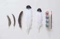 Hand Painted Feathers Decorations and Unique Gifts in Southwestern Style