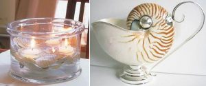 25 Sea Shell Crafts and Unique Table Centerpiece Ideas