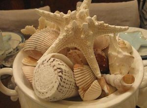 25 Sea Shell Crafts and Unique Table Centerpiece Ideas