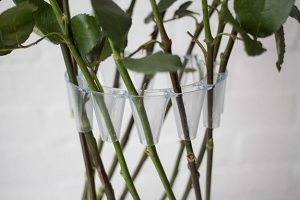 Cool Design Idea for Decorating with Flowers, Invisible Vase