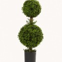 Topiary Home Decorations Bringing Green Designs into Modern Decor